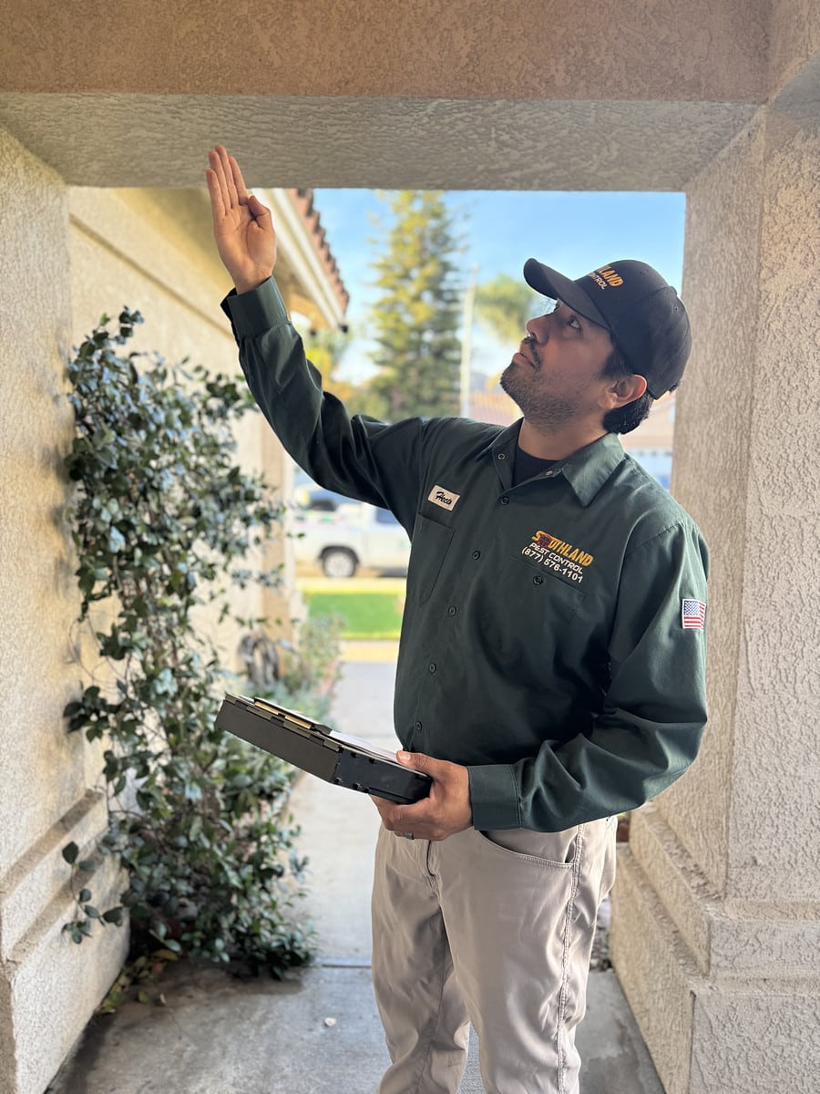 Riverside Pest Control Services | Southland Pest Control